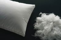 101 Guide to 20 Pillow Materials (Stuffing & Case) and Related Certificates