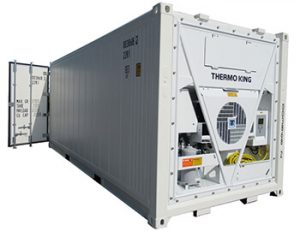 19 Container Types | General and Special Purposes