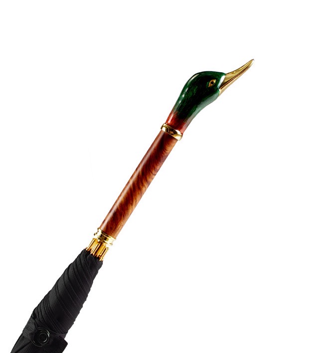 14 Umbrellas Types | Which Suits Your Needs?